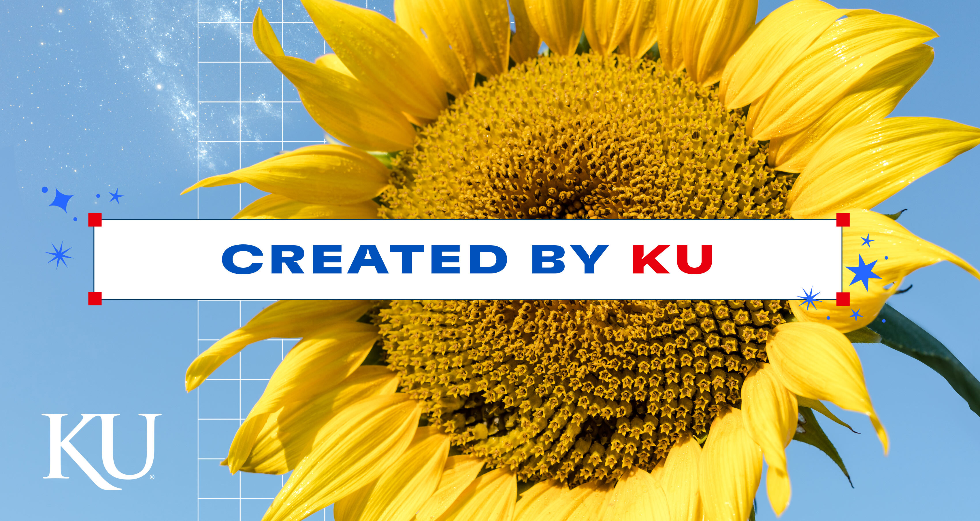 Homepage | Created by KU